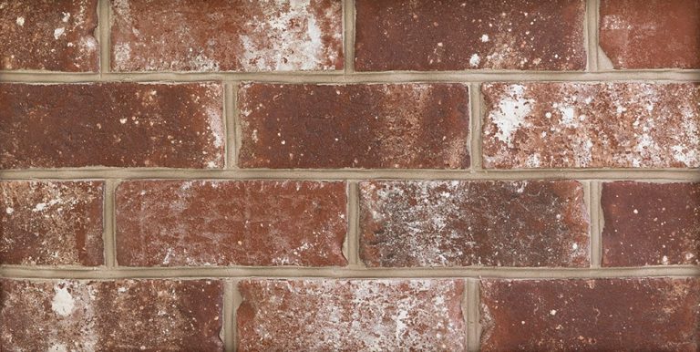 FULL BRICK - General Shale Brick Tri-Cities Tennessee
